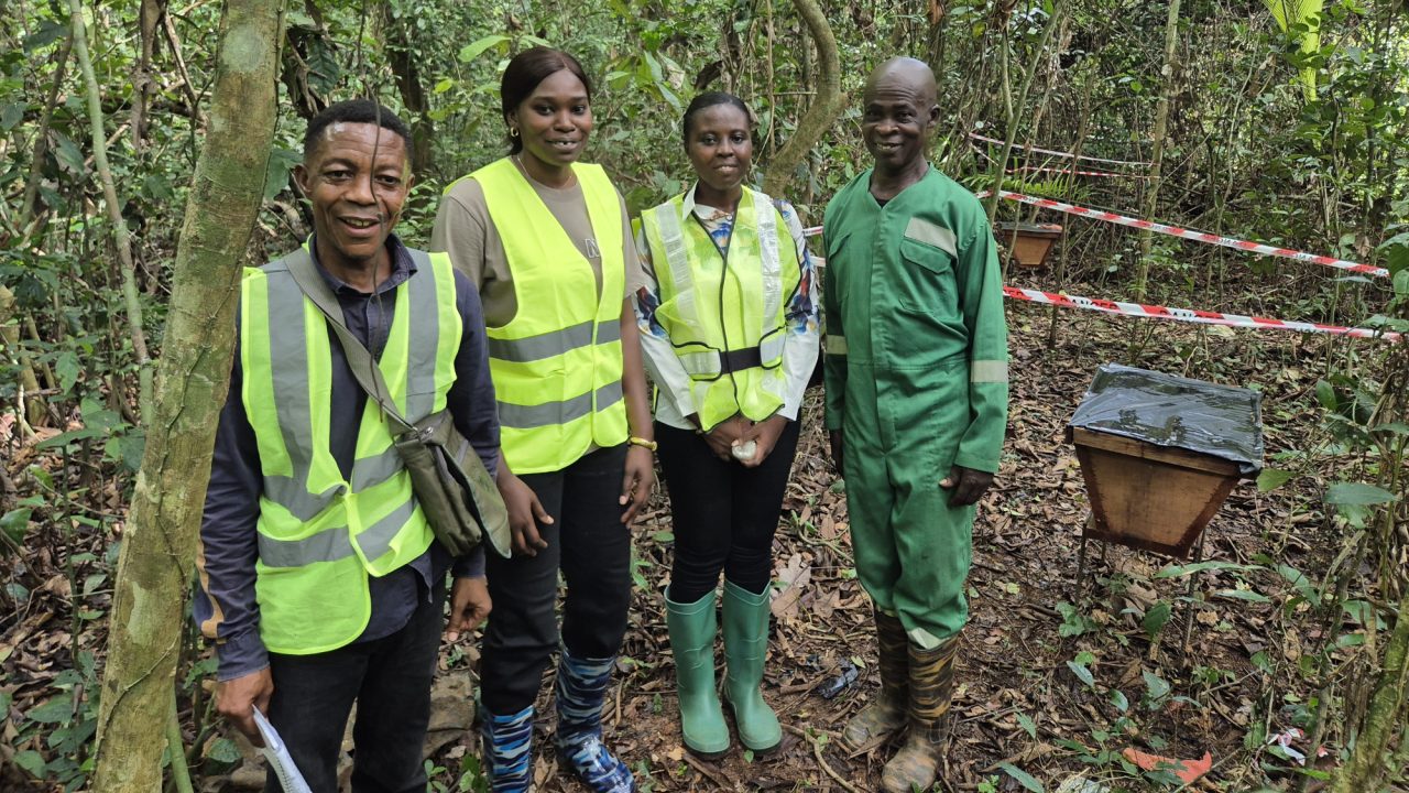 Regional Implementation Team for the Guinean Forests of West Africa ...