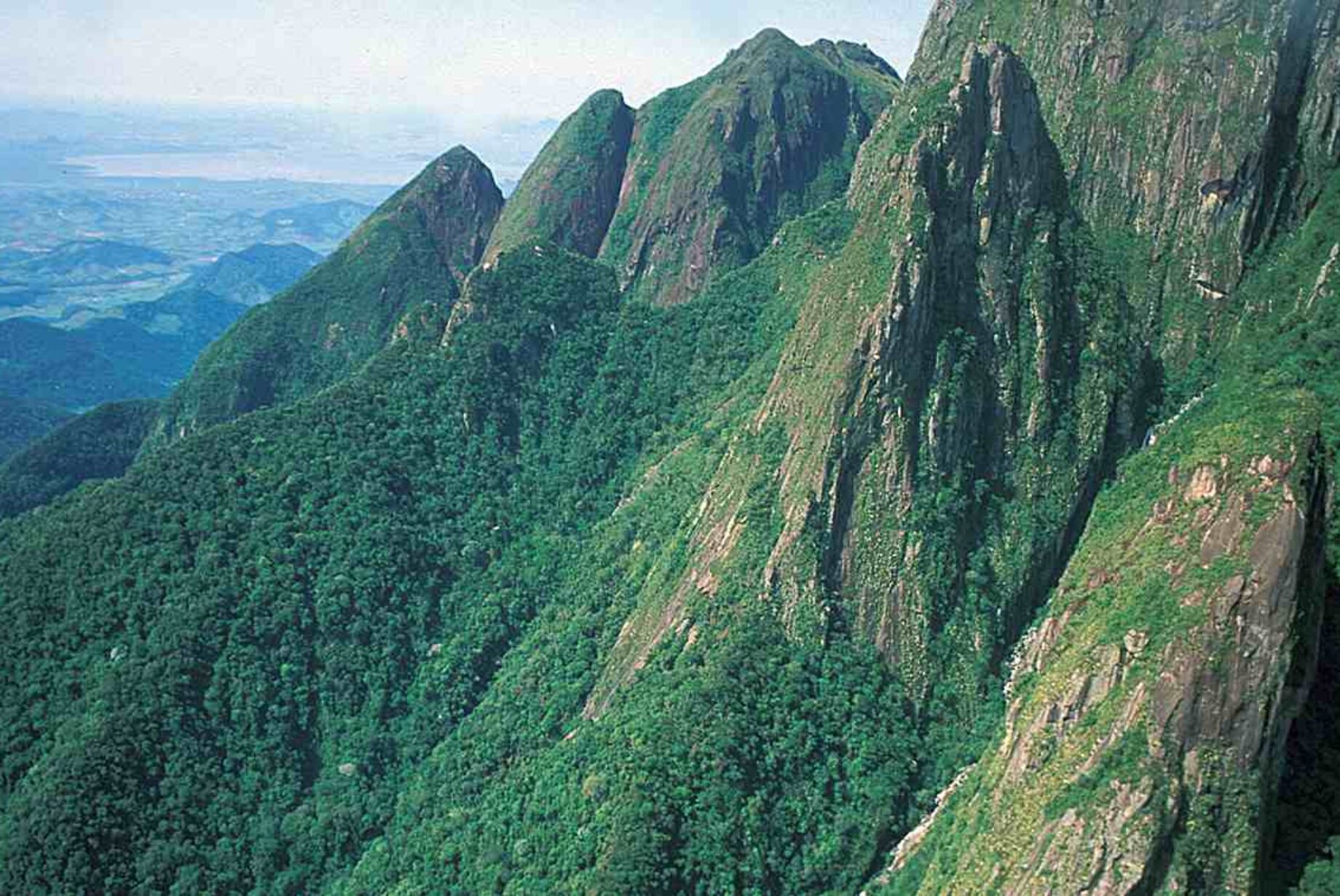 Forêt Atlantique | CEPF