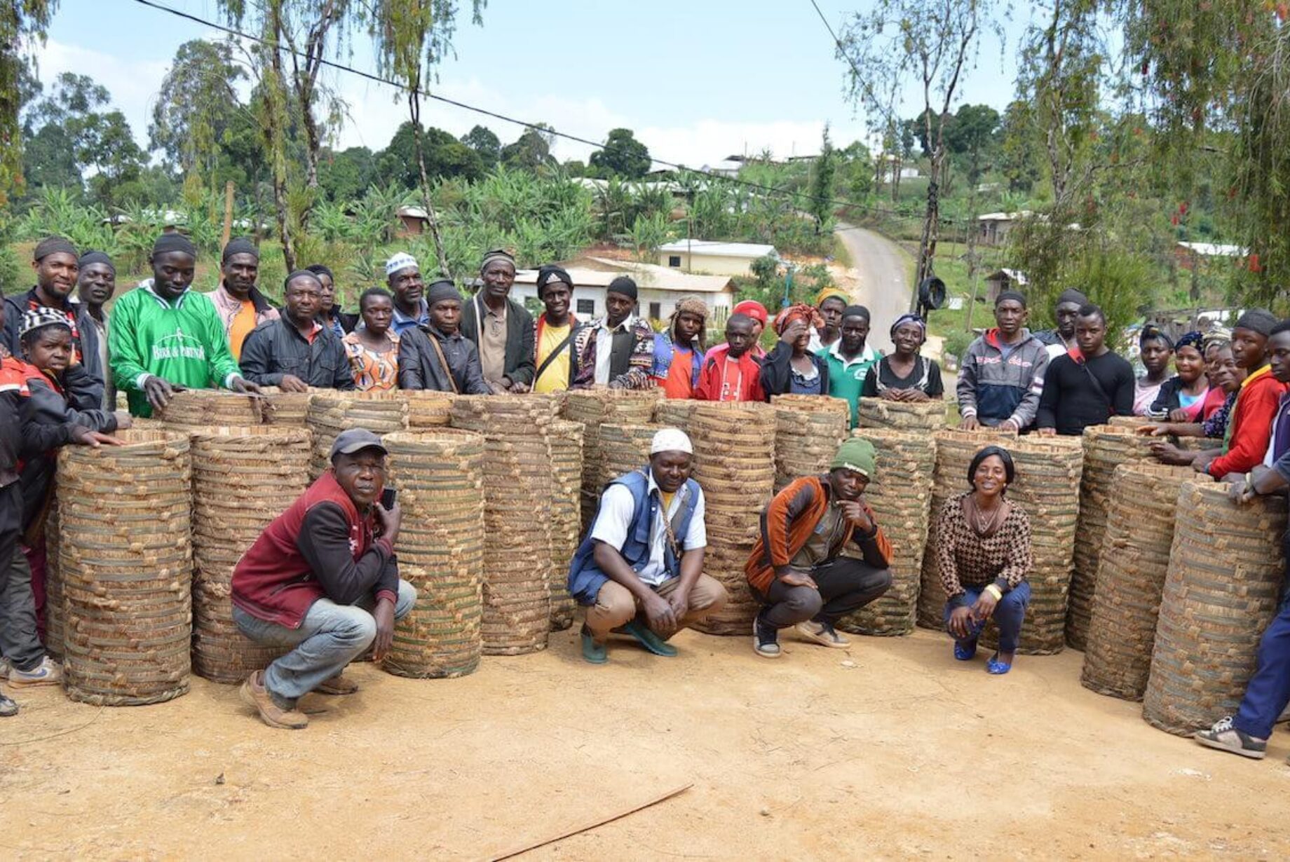 Guinean Forests of West Africa | CEPF