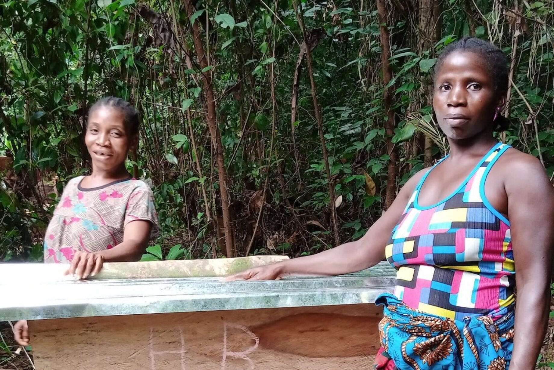 Guinean Forests of West Africa | CEPF