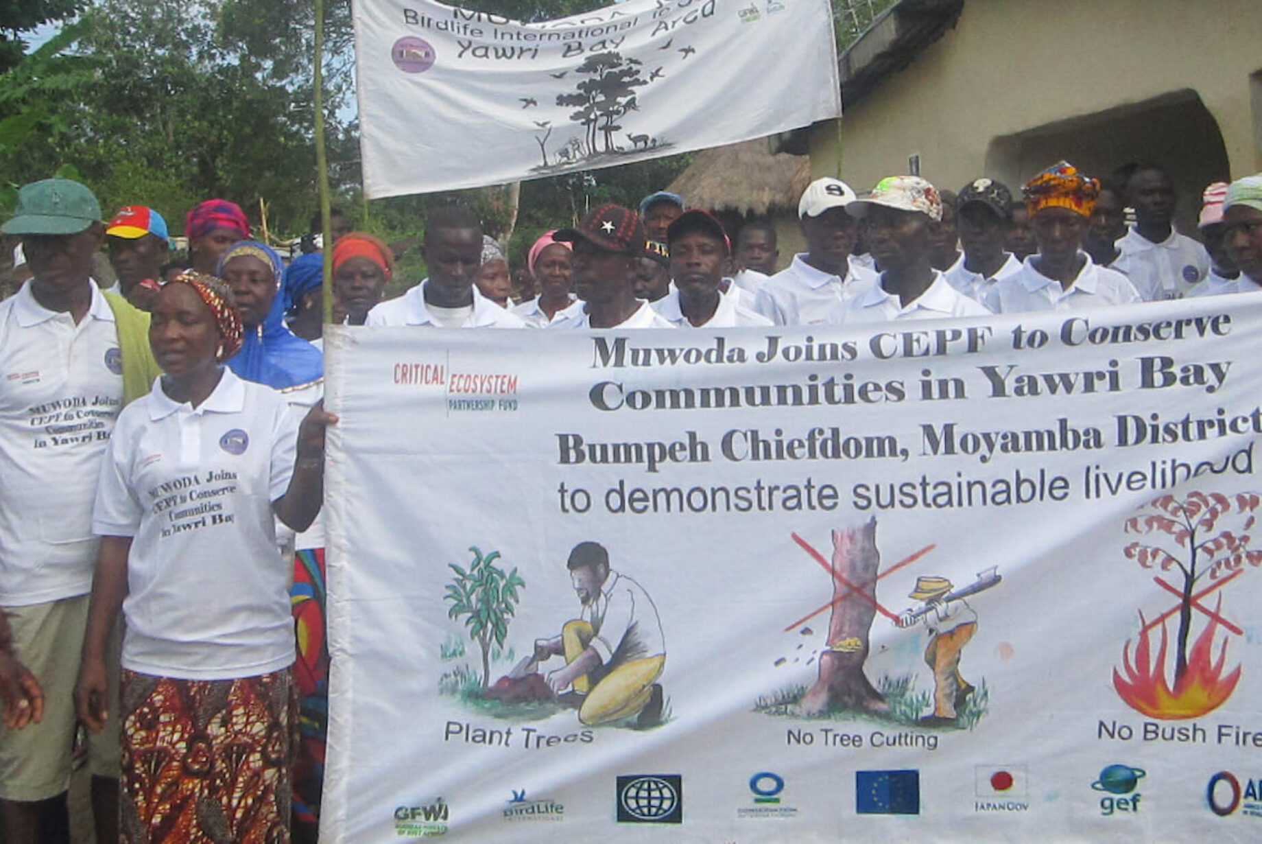 Guinean Forests of West Africa | CEPF