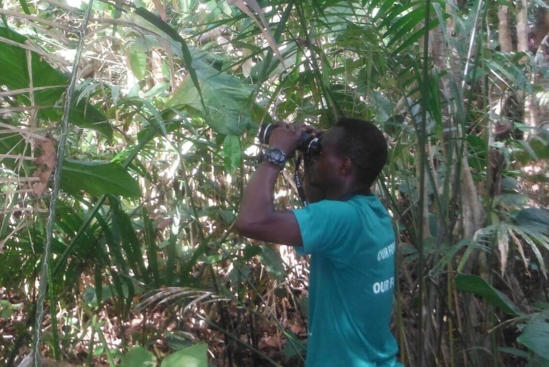 Guinean Forests of West Africa | CEPF