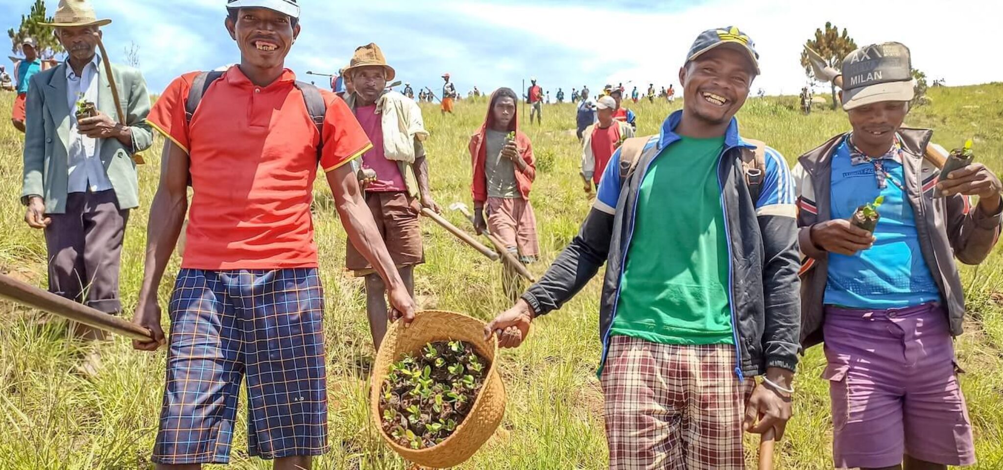 CEPF to Collaborate with Conservation International for GEF Small ...