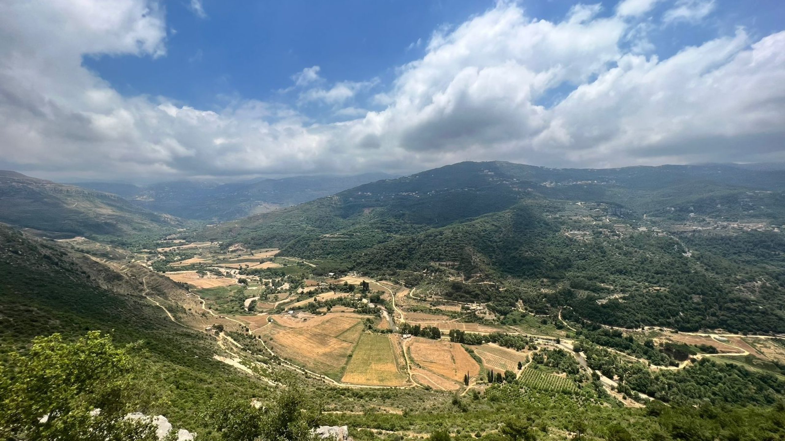 Enhance Conservation of the Unique Biodiversity in the Bisri River ...