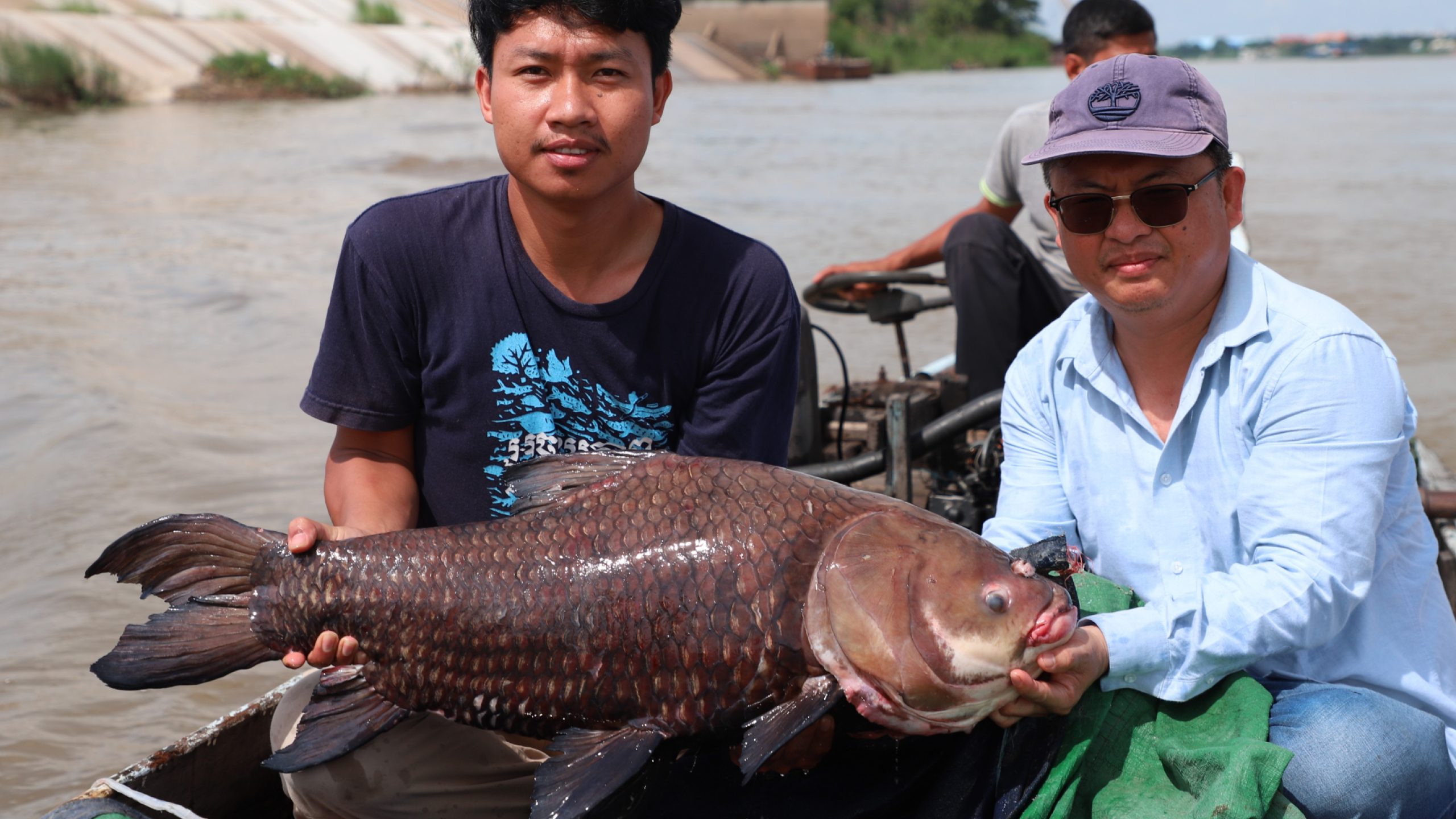 Supporting Conservation Action for Threatened Fish Species, Cambodia ...