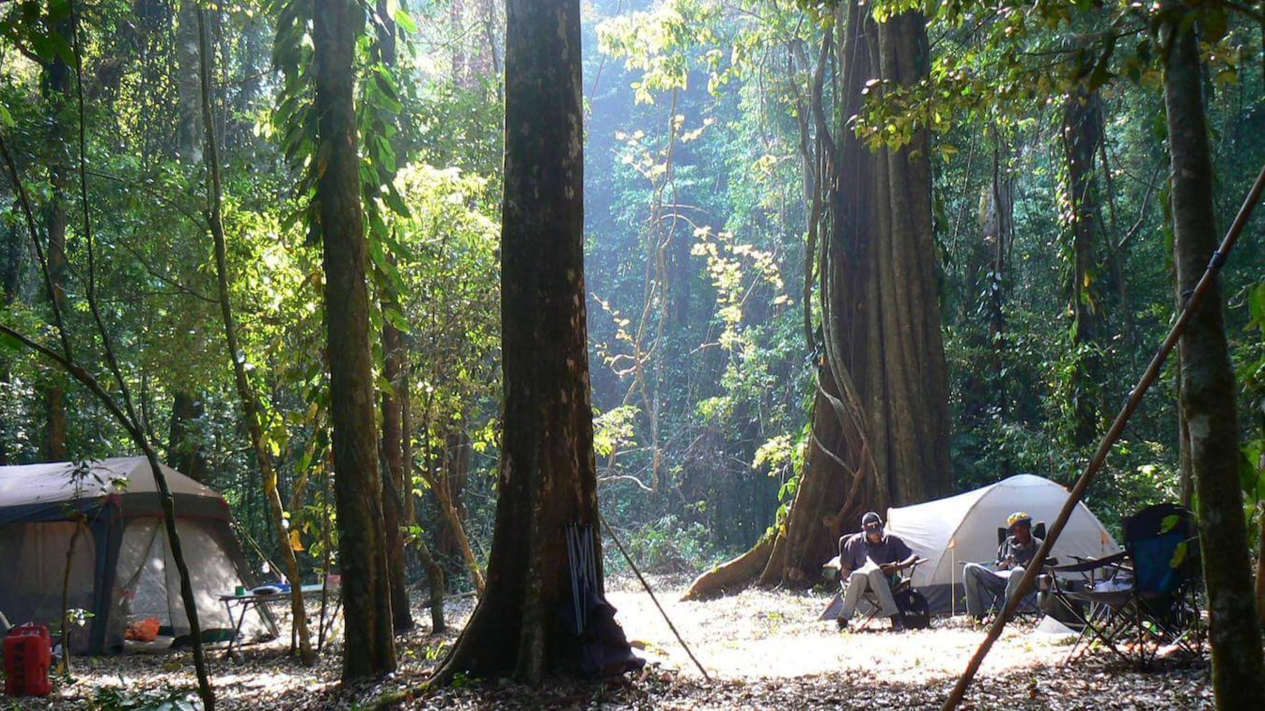 Mount Mabu Conservation Project | Page 36 | CEPF | CEPF