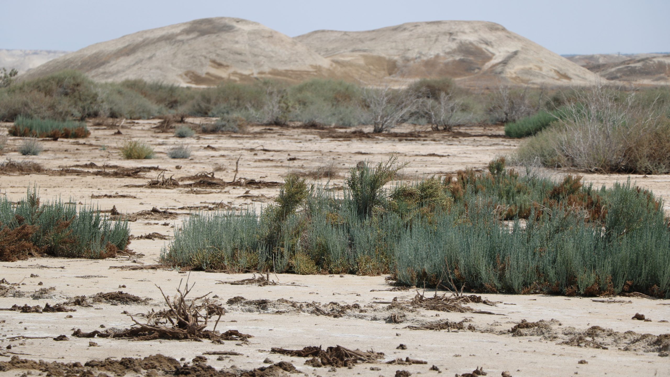 Science-Based Conservation of Wetlands in Two Key Biodiversity Areas in ...