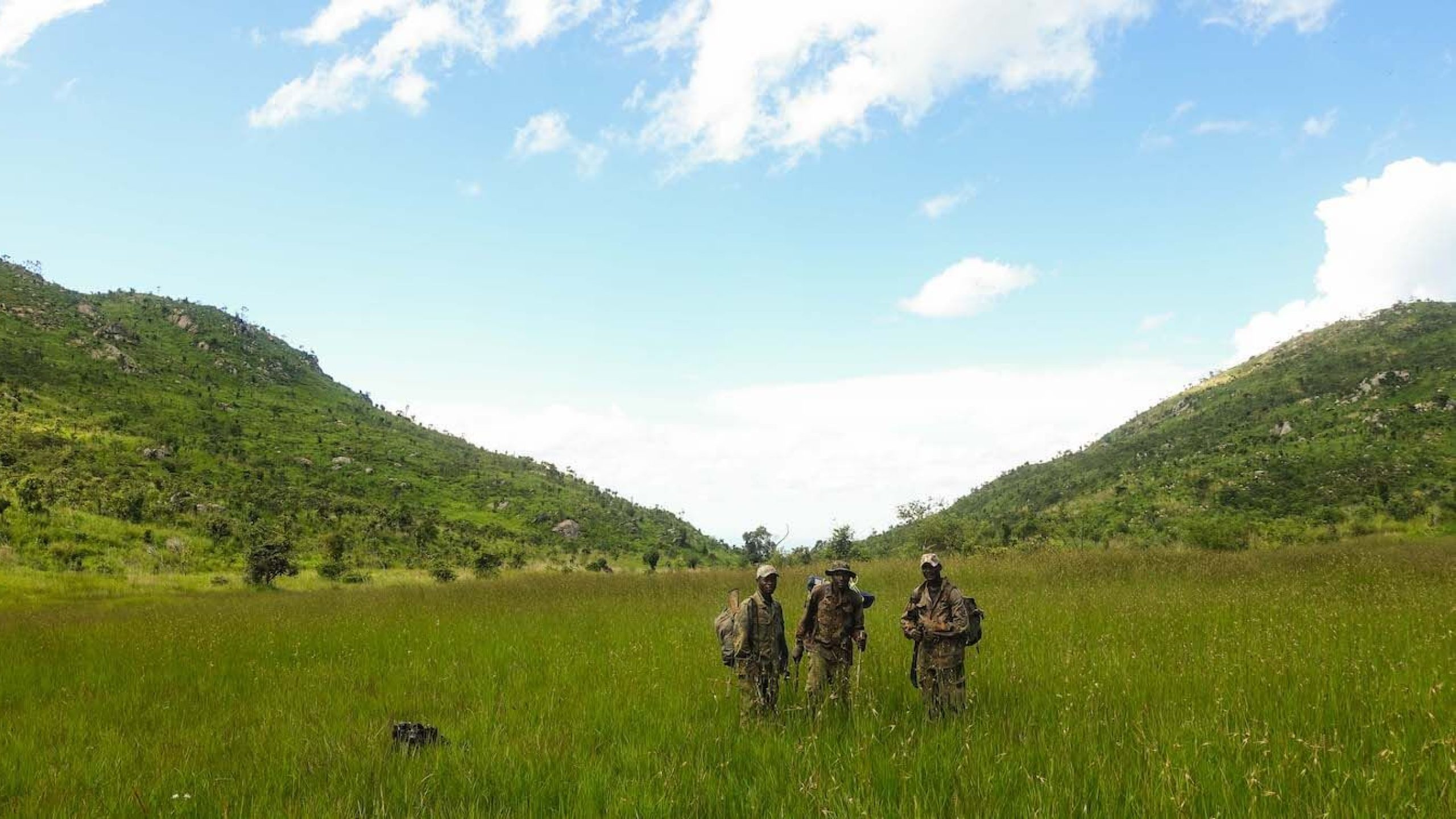 Upgrade Biodiversity Importance Status of Dedza Forest Reserve Key ...