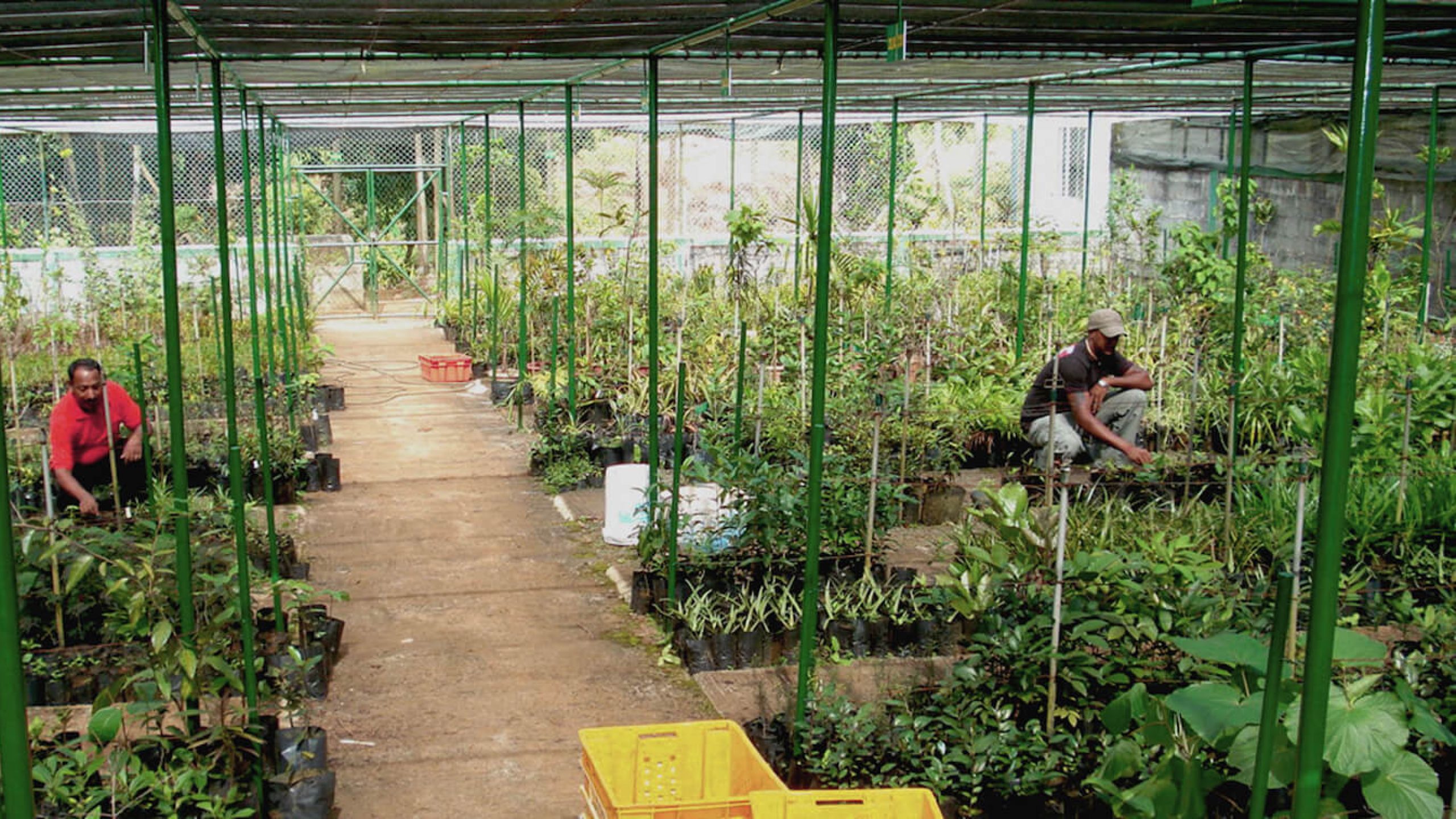 ASTIRIA - Cooperation Programme for the Conservation of Threatened ...