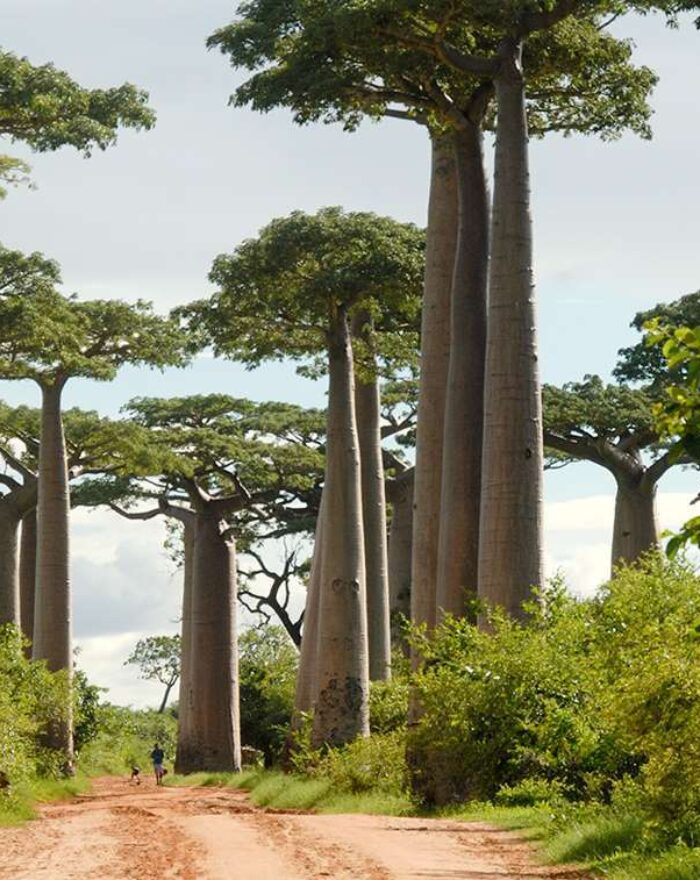 Seeds of Equality: Planting Cooperativism and Harvesting ...