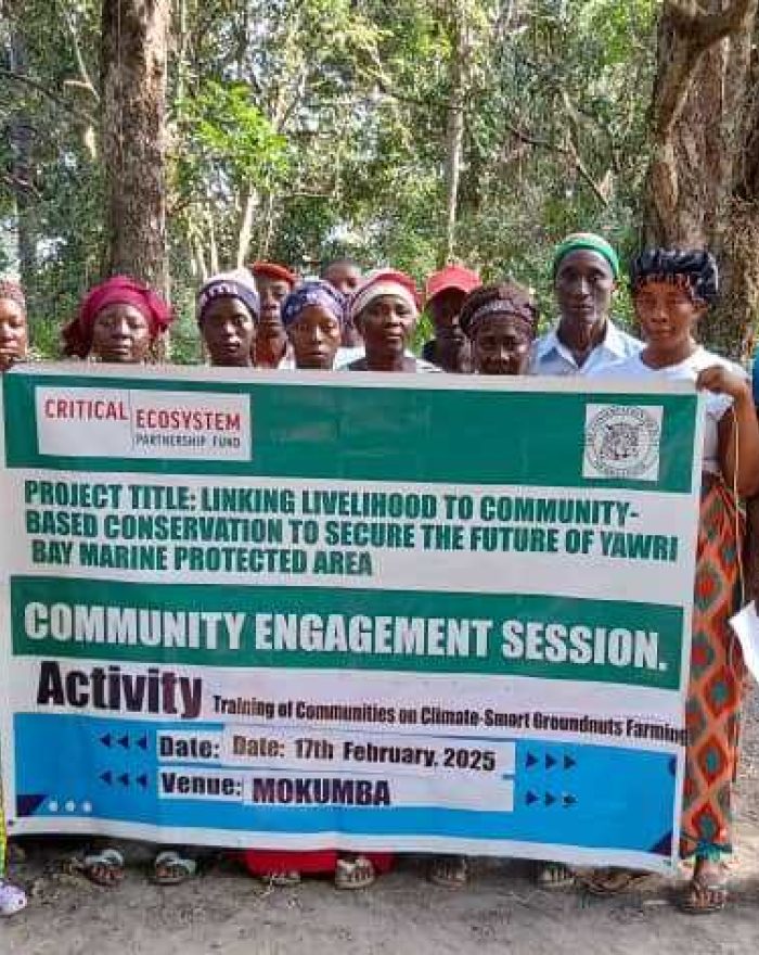 Guinean Forests of West Africa | CEPF
