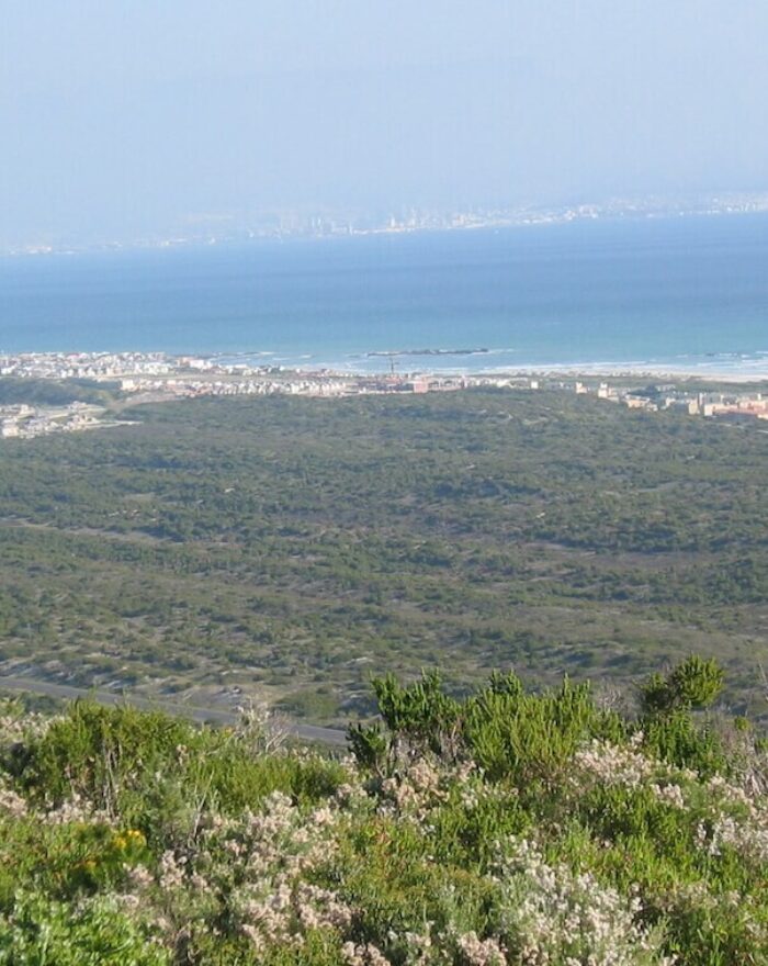Cape Floristic Region | CEPF