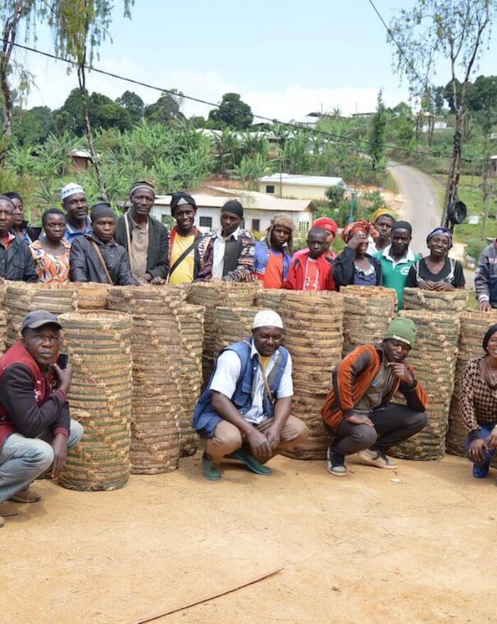Guinean Forests of West Africa | CEPF
