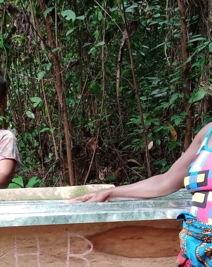 Guinean Forests of West Africa | CEPF