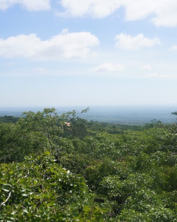 Eastern Afromontane | CEPF