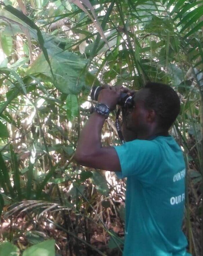 Guinean Forests of West Africa | CEPF