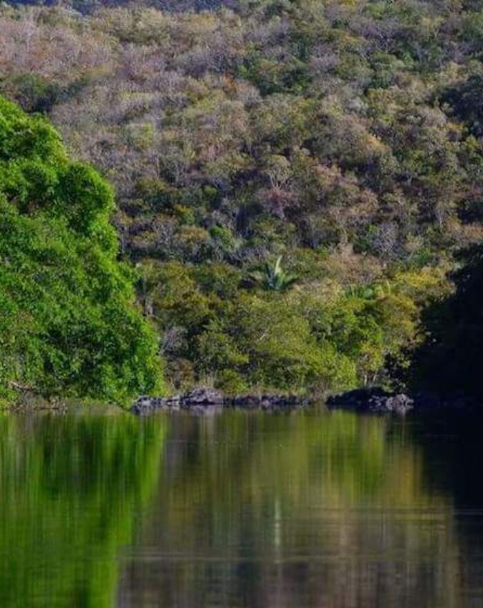 Cerrado | CEPF