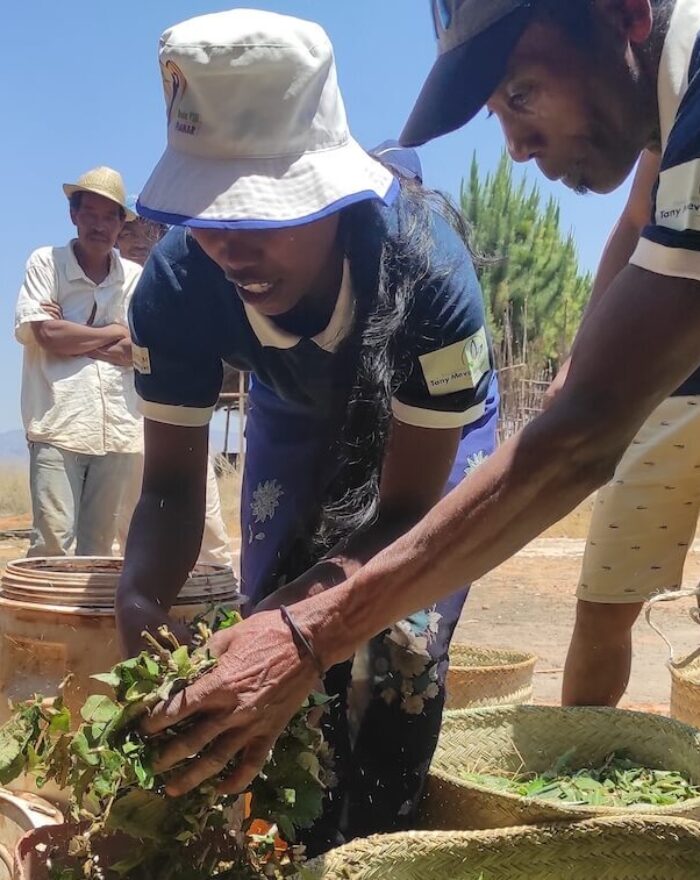 Madagascar and the Indian Ocean Islands | CEPF