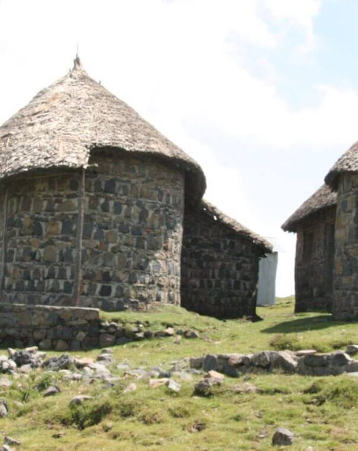 Eastern Afromontane | CEPF